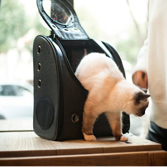 Small animal carrying backpack - Kawaii Family